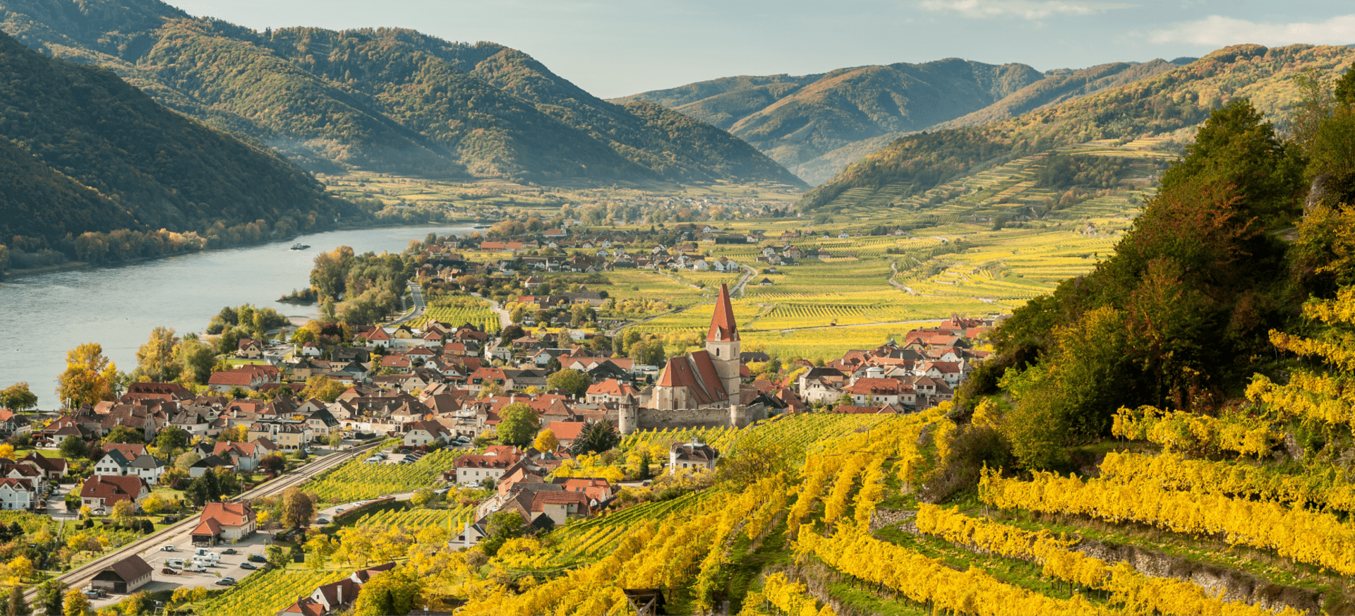 Wina Hiedler: ponadczasowe, z charakterem, zgodne z naturą - blog Fine Wine